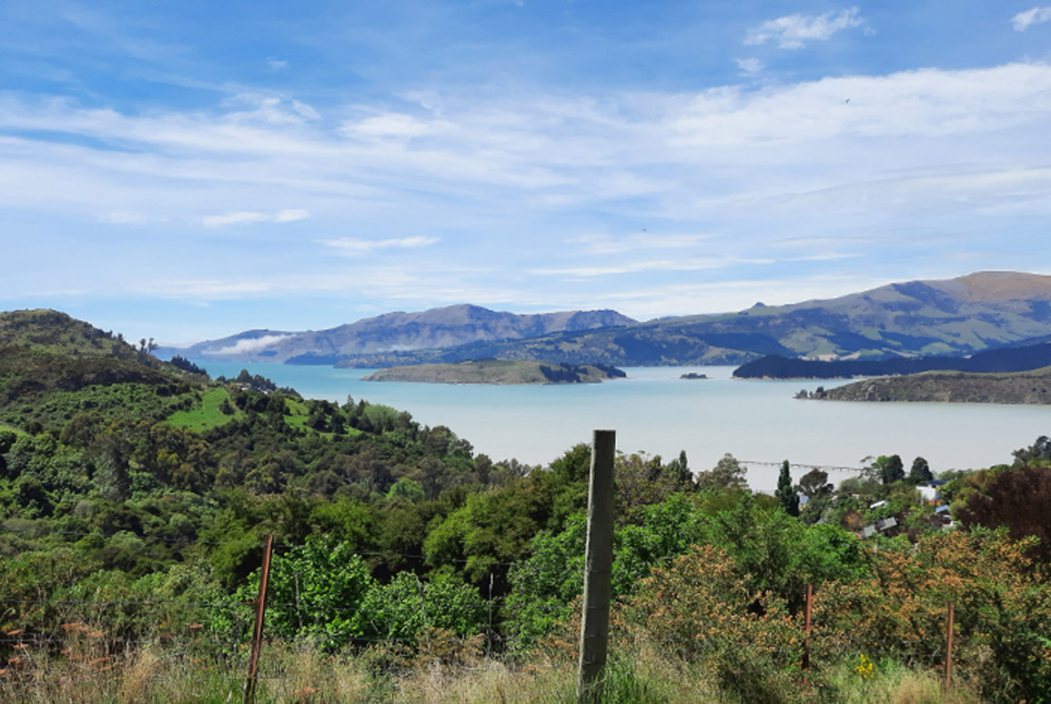Te Wharau Catchment Restoration – Predator Control Programme | Boffa ...