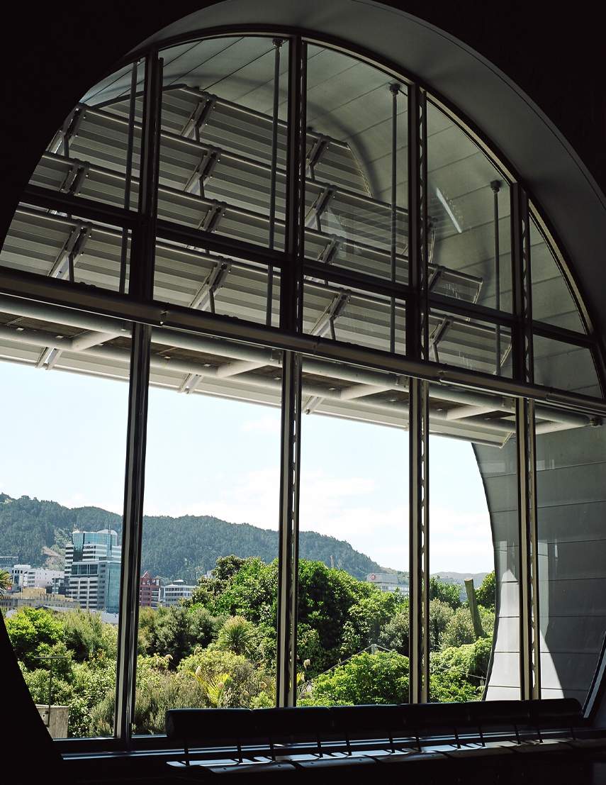 Bush City | Te Papa | Boffa Miskell